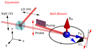 Optically pumped magnetometers - macQsimal