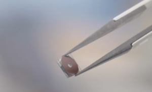 Miniaturized atomic gyroscopes - macQsimal